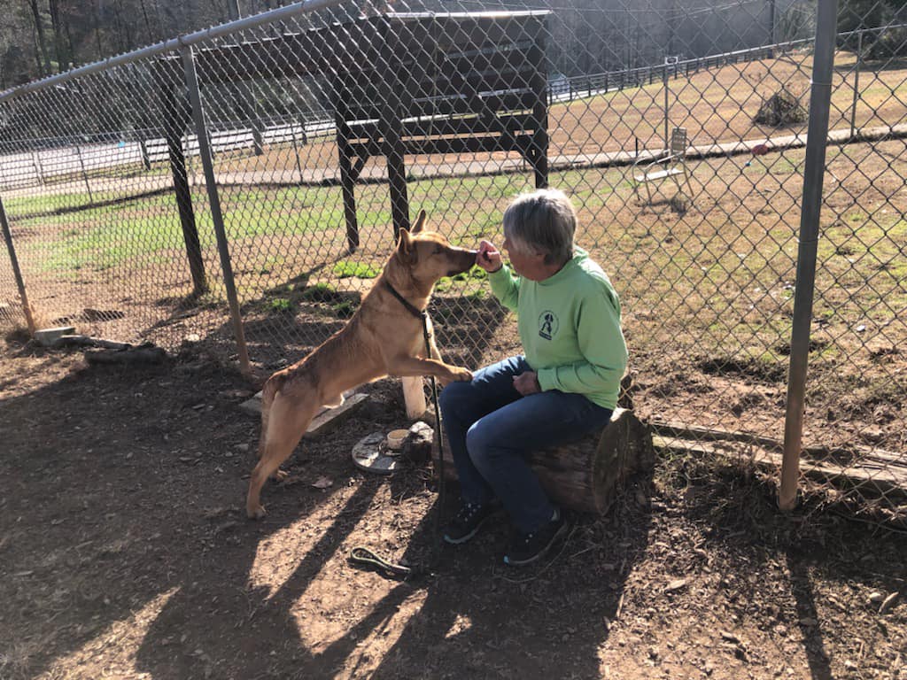 Volunteer - Charles Smithgall Humane Society Charles Smithgall Humane ...